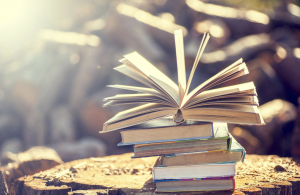 Pantser vs. plotters. by Dennis Scheel – Review Tales