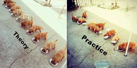 The difference between theory and practice by I.V. Olokita – Review Tales