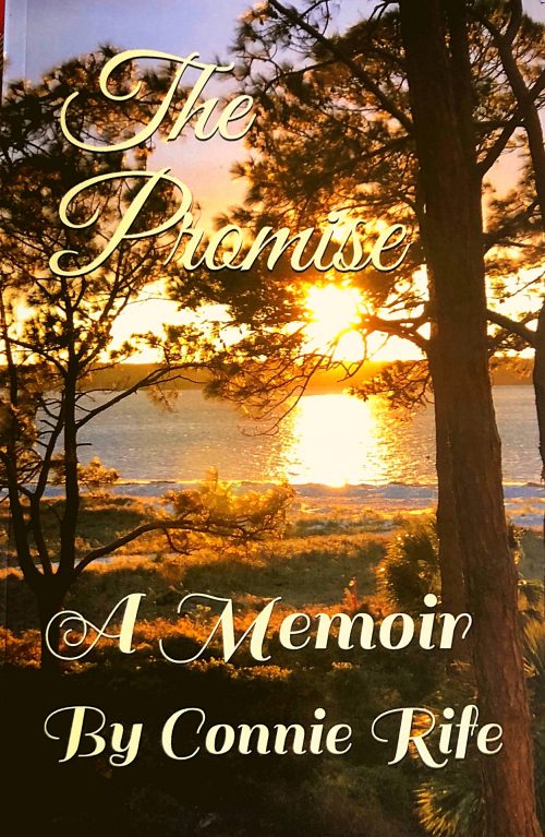 The Promise by Connie Rife (Book Review #866) – Review Tales