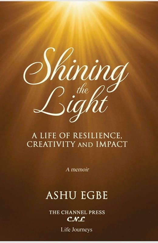 Shining the Light: A Life of Resilience, Creativity, and Impact by Ashu ...